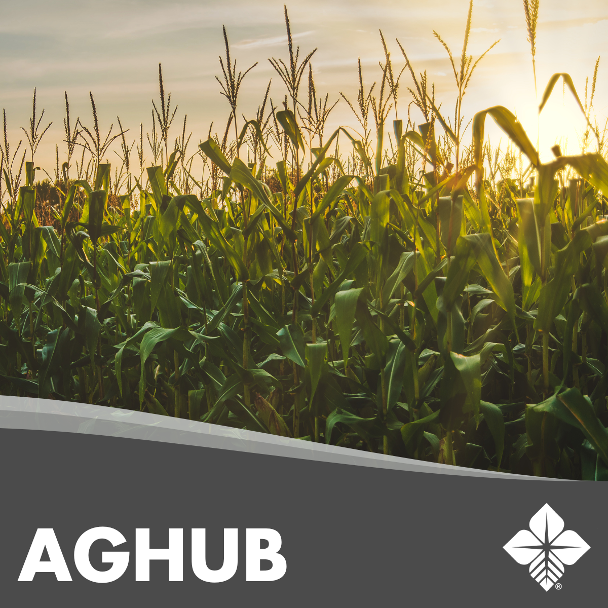 Member Portal | Farm Credit of the Virginias